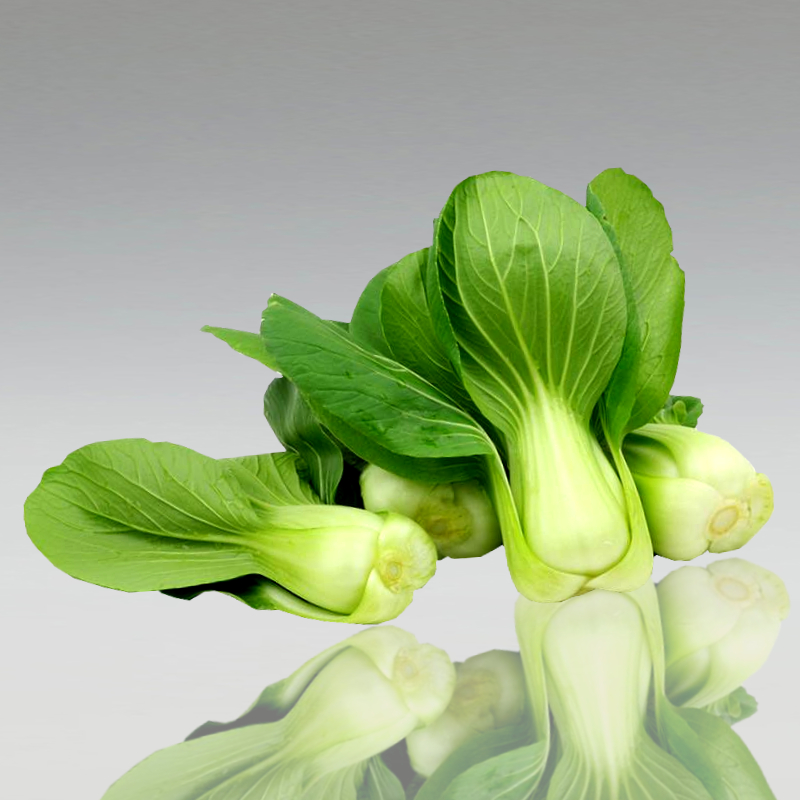 Shanghai Pak Choi, 500g | Toko Indonesia